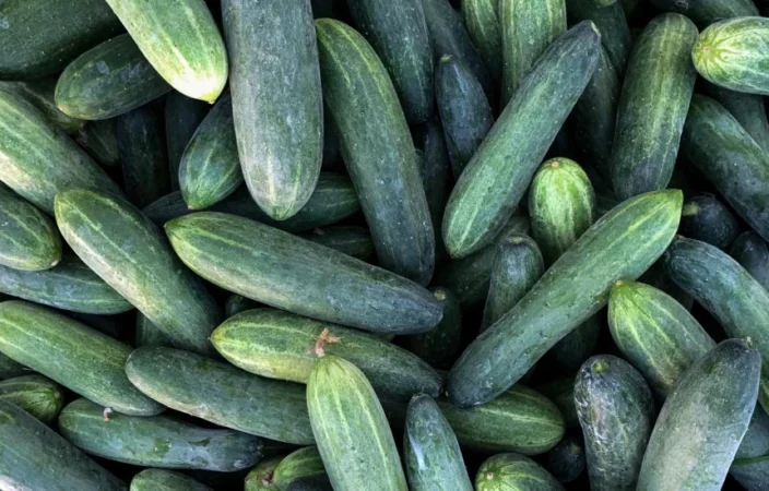 TikToku lë Islandën pa tranguj, supermarketet dhe fermerët në krizë ...