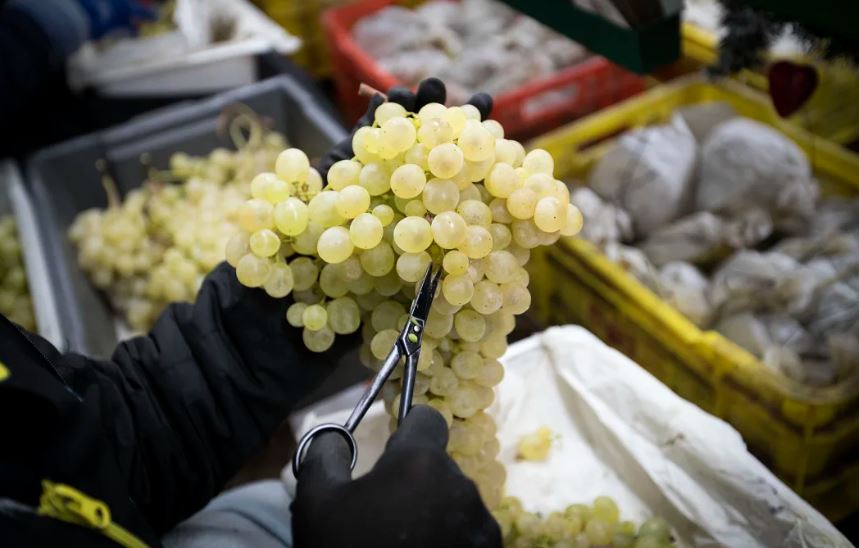 Gatimet tradicionale për natën e ndërrimit të viteve rreth botës ...