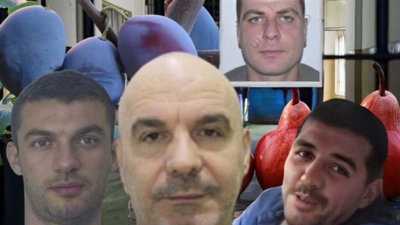 “Kurthi, kumbullat nga hasmi dhe borxhi!”/ Dëshmia e Deliut: Ervis Daka ...