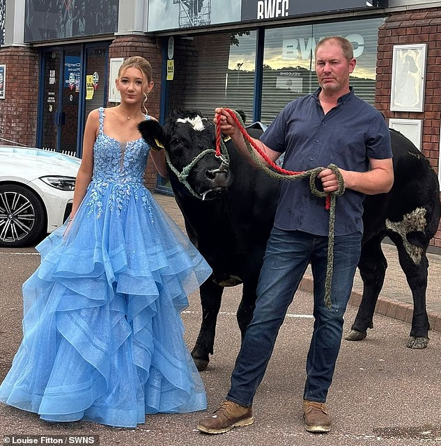 Po ju do e bënit një gjë të tillë? E reja shkon në mbrëmjen e maturës ...