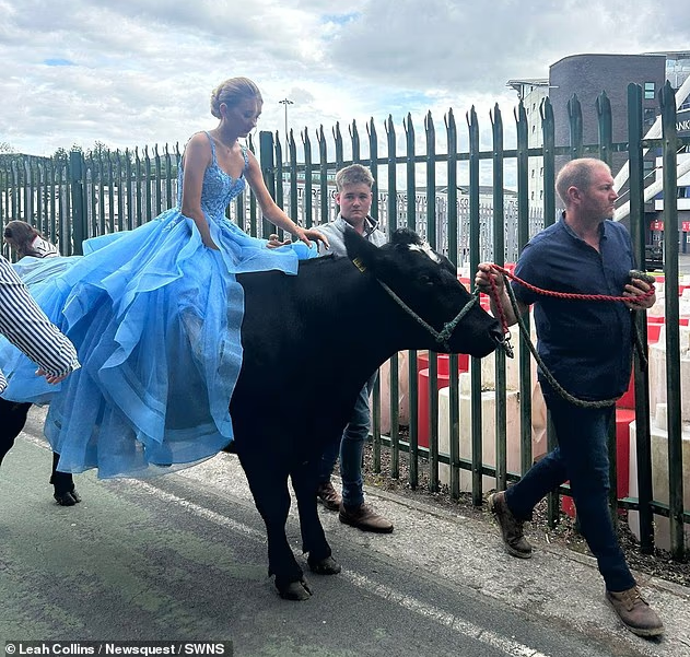 Po ju do e bënit një gjë të tillë? E reja shkon në mbrëmjen e maturës ...