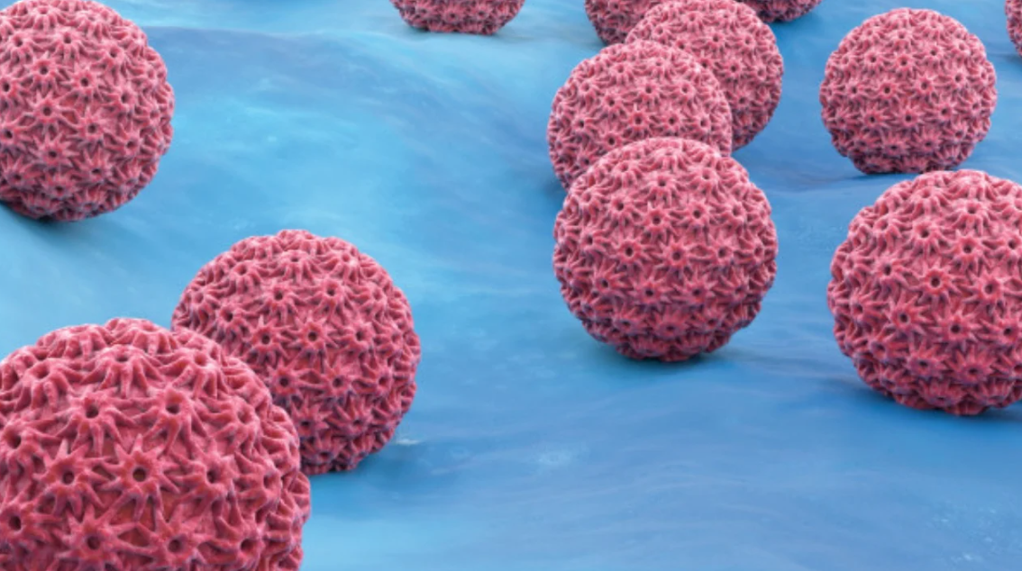 Një virus i zakonshëm mund të nxisë zhvillimin e një lloji të ...