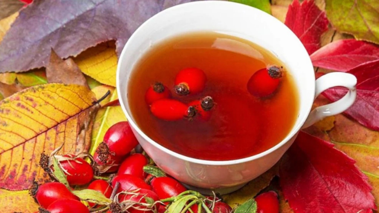 Kura me tetë kokrra trëndafil të egër për shëndetin e gjithë organizmit ...