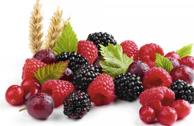 Manaferra, fruti që mbron zemrën, përmirëson trurin dhe forcon ...