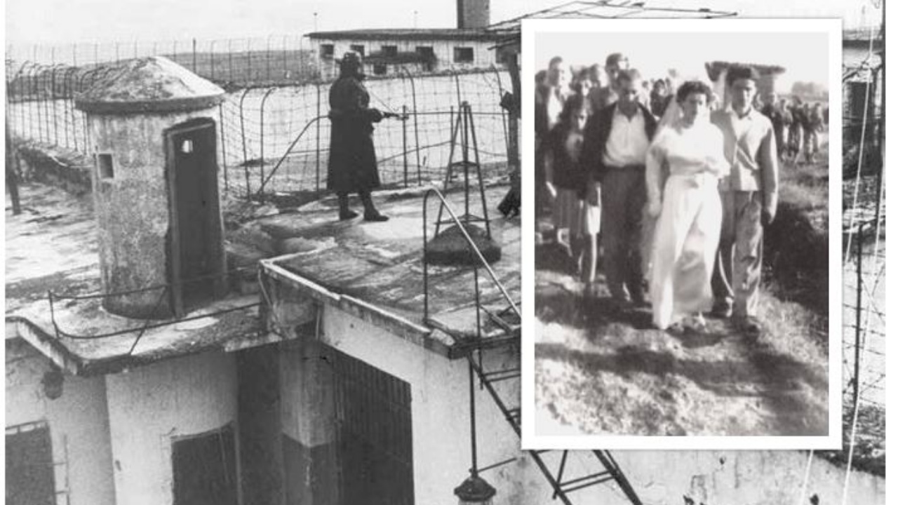 "Në Berat, brenda një nate vdiqën 20 fëmijë"/ 45-vite në internim ...