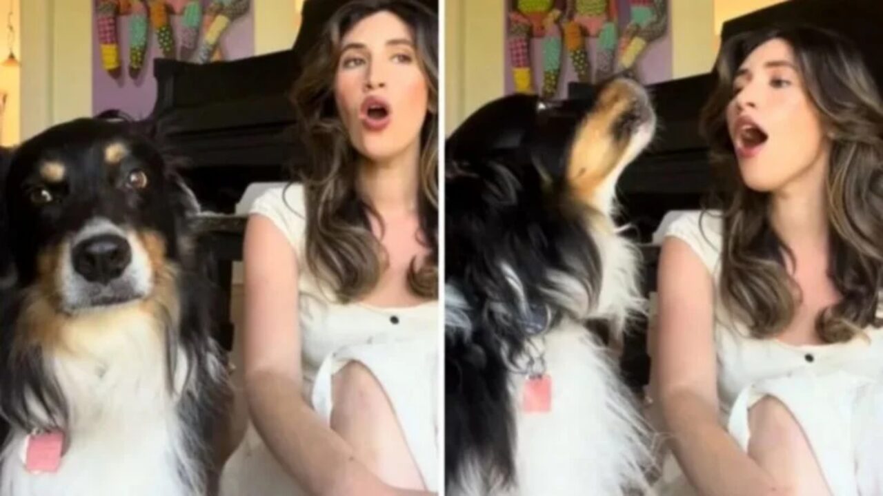 Vajza këndon kolonën zanore të filmit “Titanic”, qeni i saj i ...