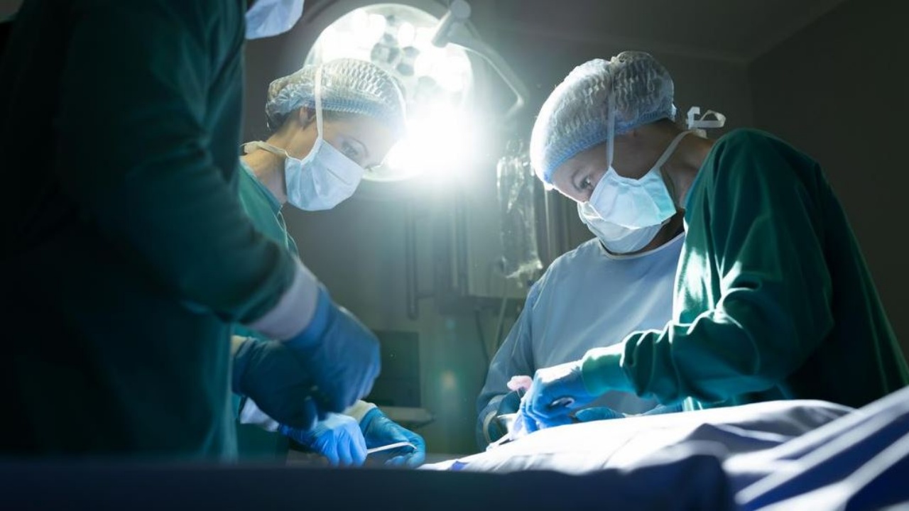 “Racizmi është pjesë e saj”/ DW publikon anketën e punëtorëve të ...