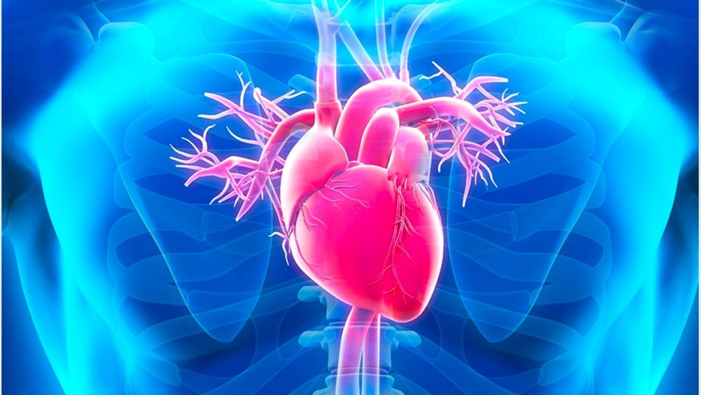 Sa vjeç është zemra juaj? Zbuloni faktorët që e dobësojnë para kohe ...