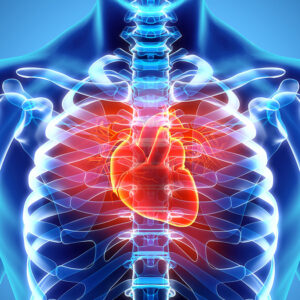 Ndryshe | Gazeta Shqip