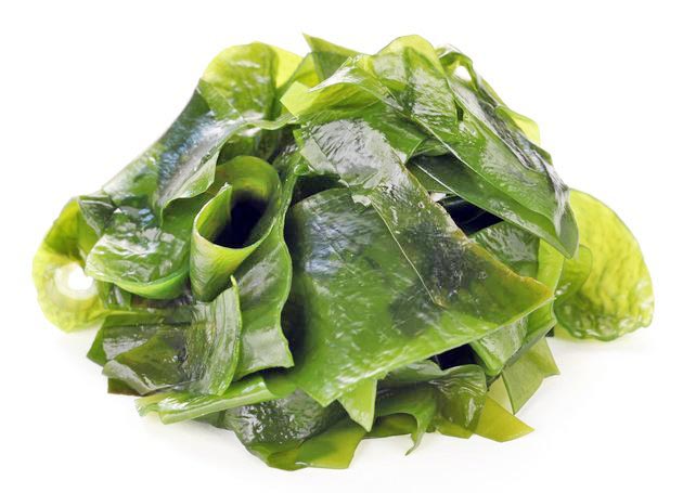 Algat, vlerat e panjohura të një ushqyesi natyror | Gazeta Shqip